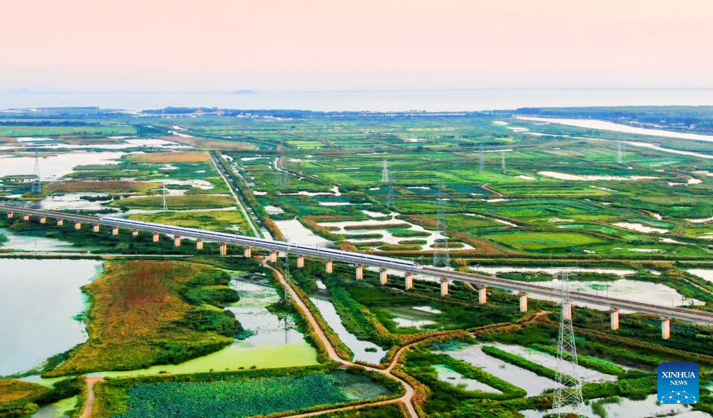 Hefei City strengthens protection of wetlands around Chaohu Lake in ...