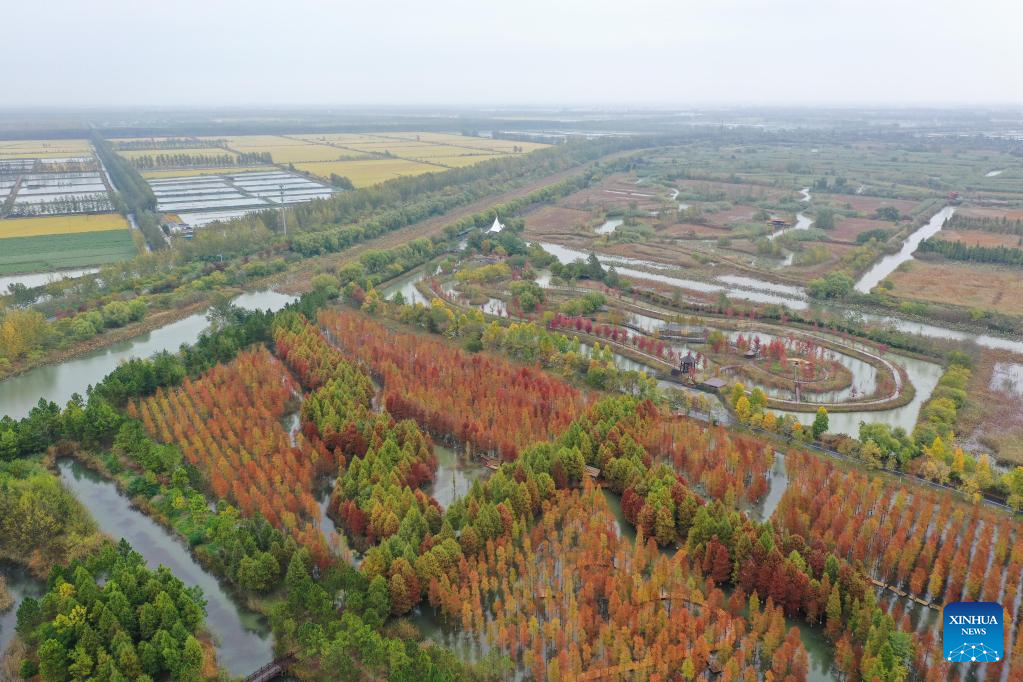 Autumn scenery of Hongze Lake Wetland Scenic Area in east China-Xinhua