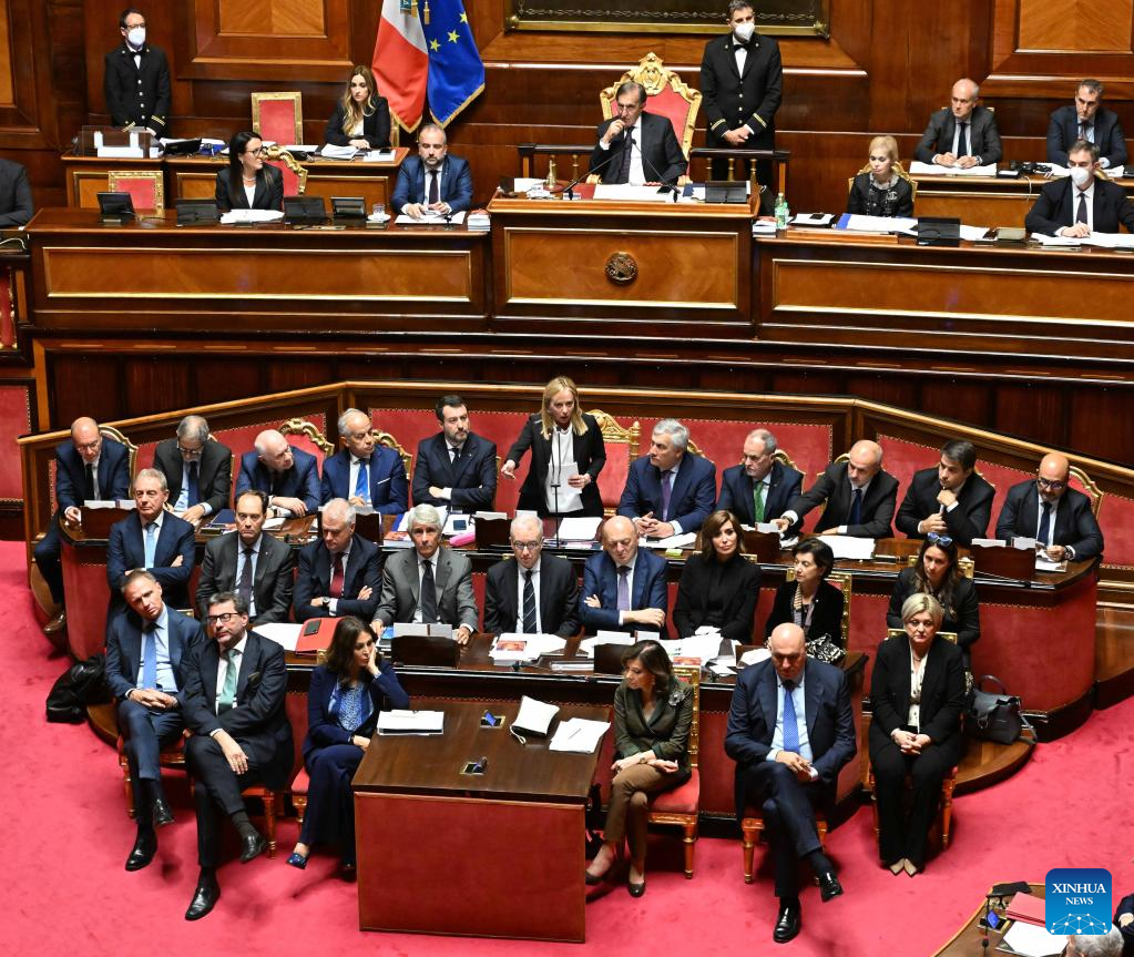 Italy's new cabinet wins final confidence vote-Xinhua