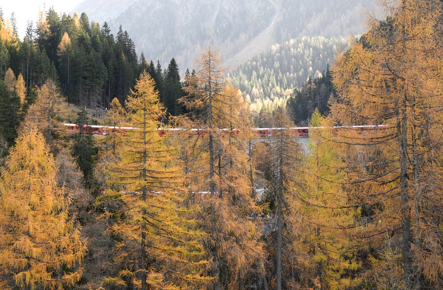 Swiss railway company claims record for world's longest passenger train -Xinhua