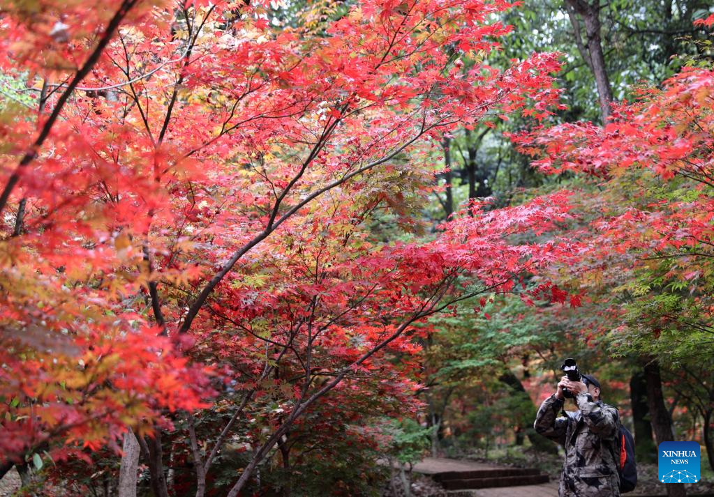Autumn scenery across China-Xinhua