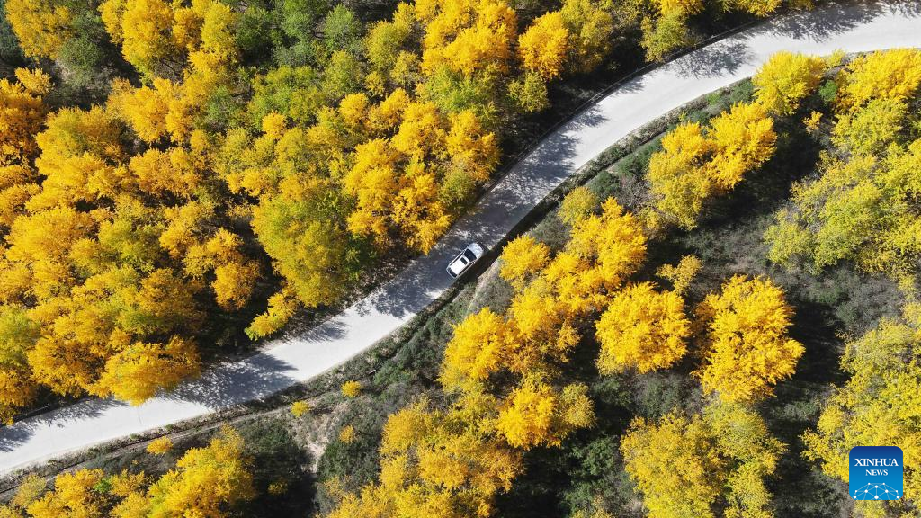 Autumn scenery across China-Xinhua