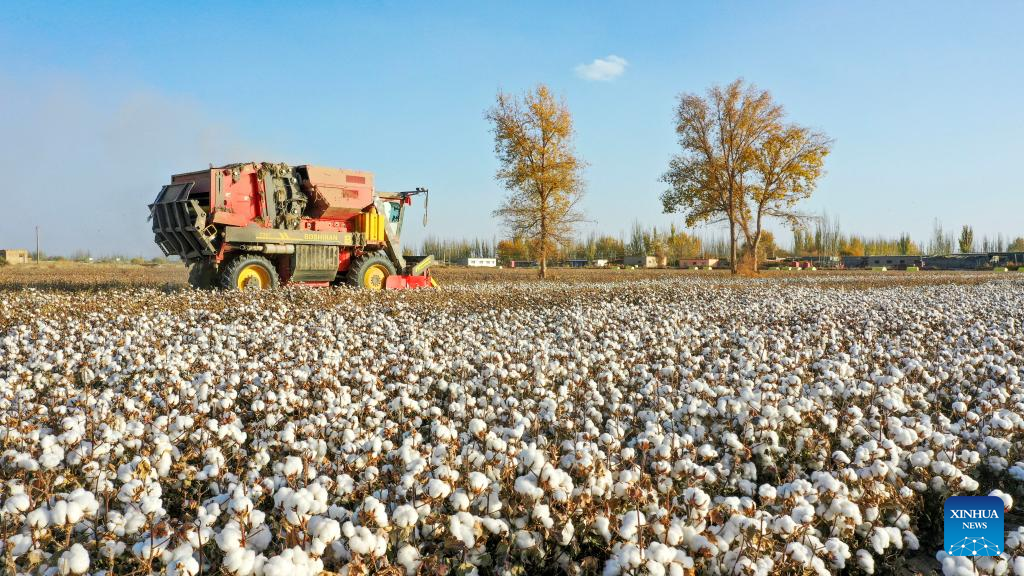 Cotton harvest comes to end in Xayar County, NW China's Xinjiang-Xinhua