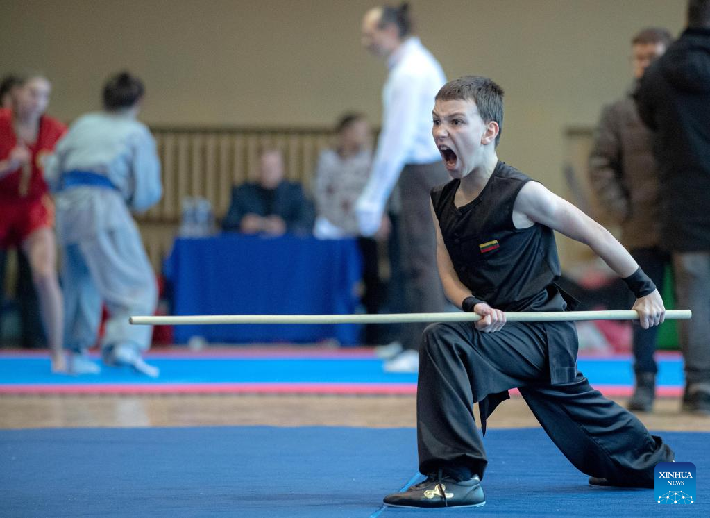 Lithuanian Wushu Championship underway-Xinhua