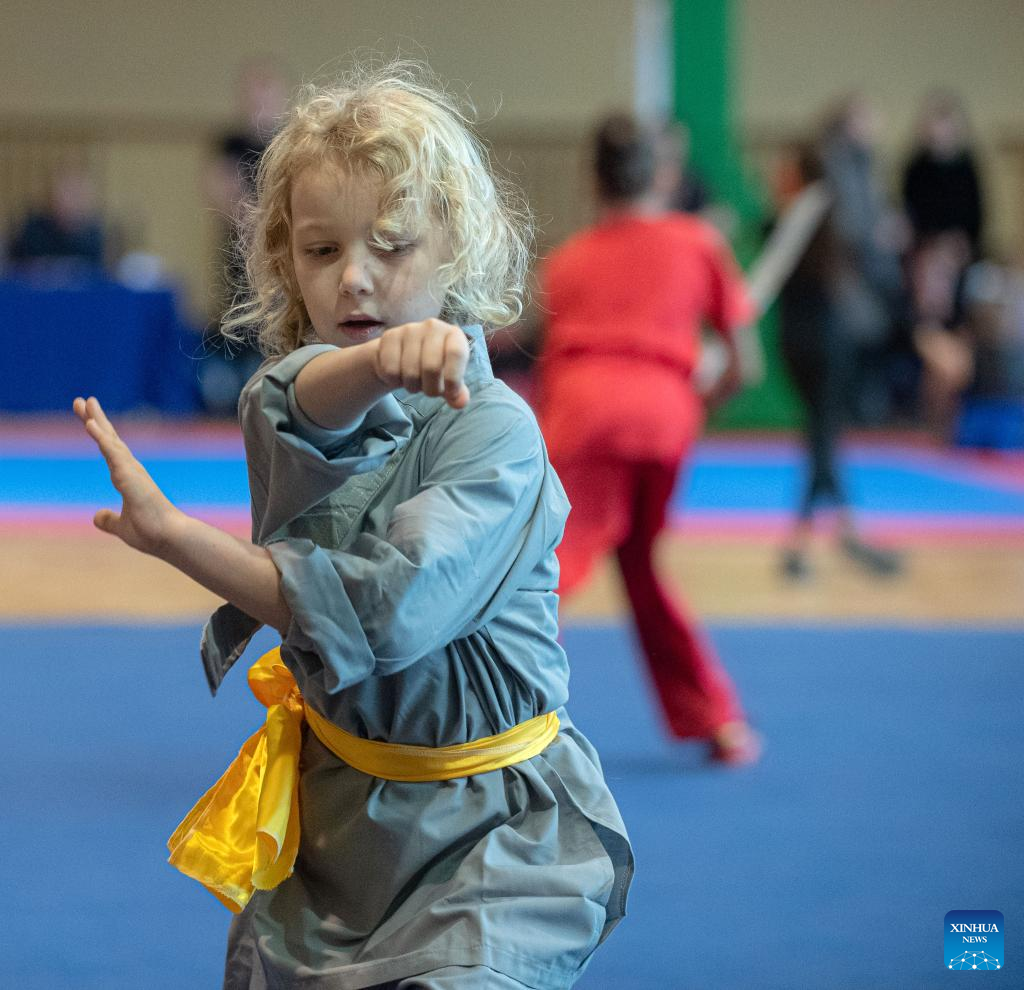 Lithuanian Wushu Championship underway-Xinhua