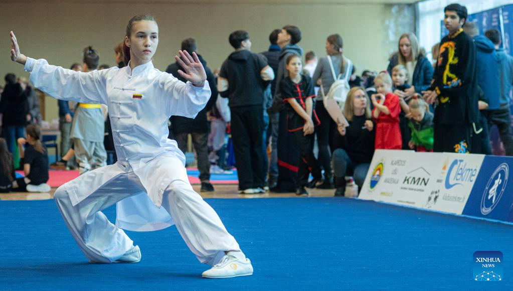 Lithuanian Wushu Championship underway-Xinhua