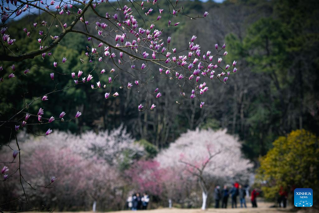 Spring scenery of Zhejiang, E China-Xinhua