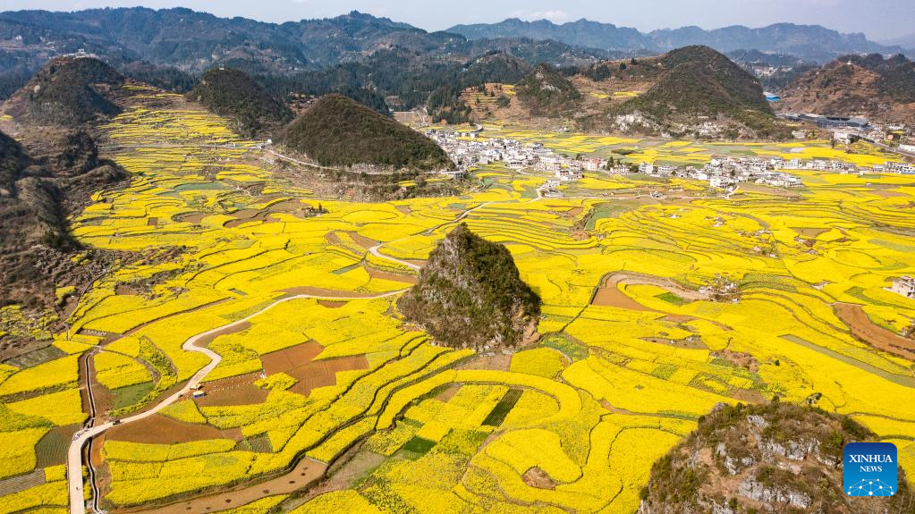 Scenery of cole flower fields in SW China-Xinhua