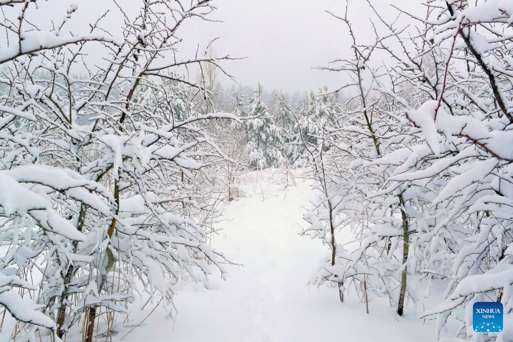 Snow scenery in Minsk, Belarus-Xinhua