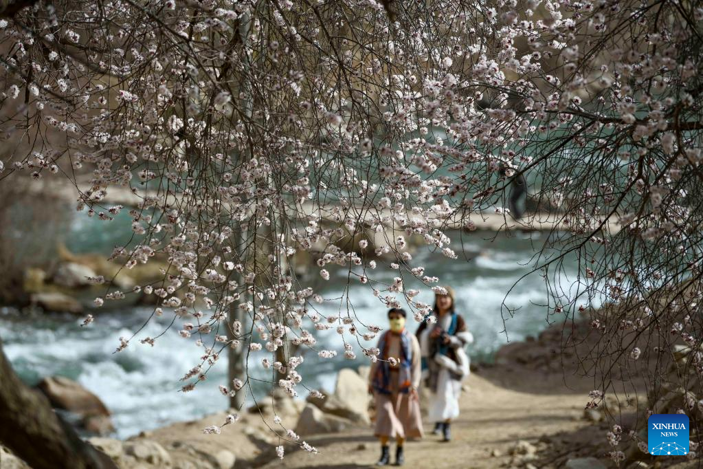 Township in Xinjiang develops rural tourism to increase local incomes ...