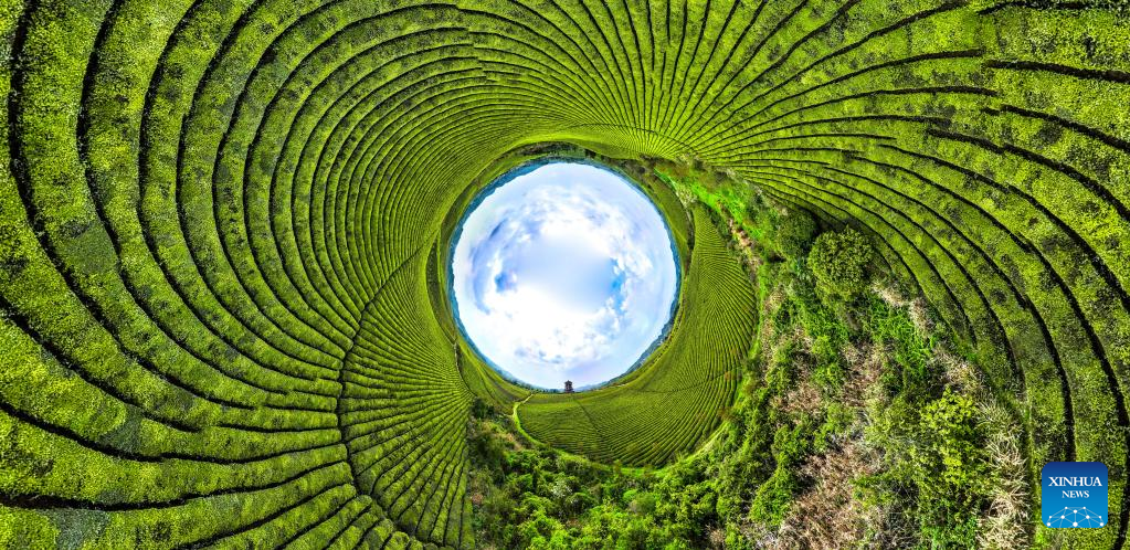 Farmers busy with farm work around Qingming across China-Xinhua