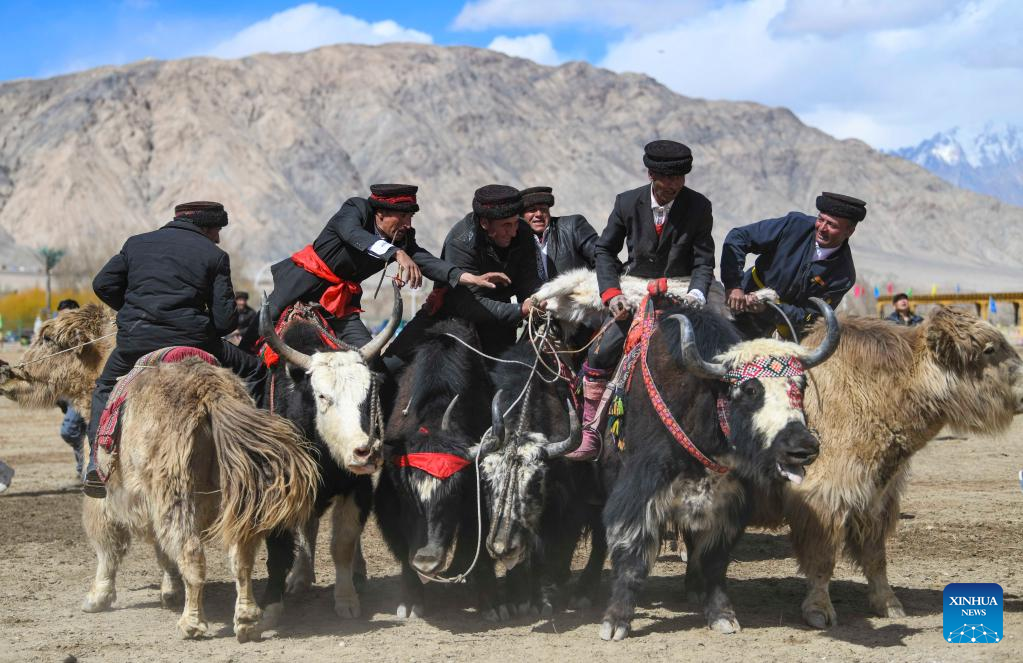 Pic story: traditional folk sport goat-grabbing in Xinjiang-Xinhua