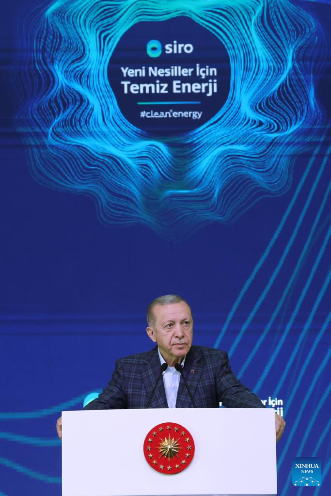 Türkiye builds new car battery plant-Xinhua
