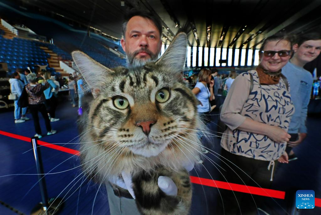 International cats show staged in Minsk, Belarus-Xinhua