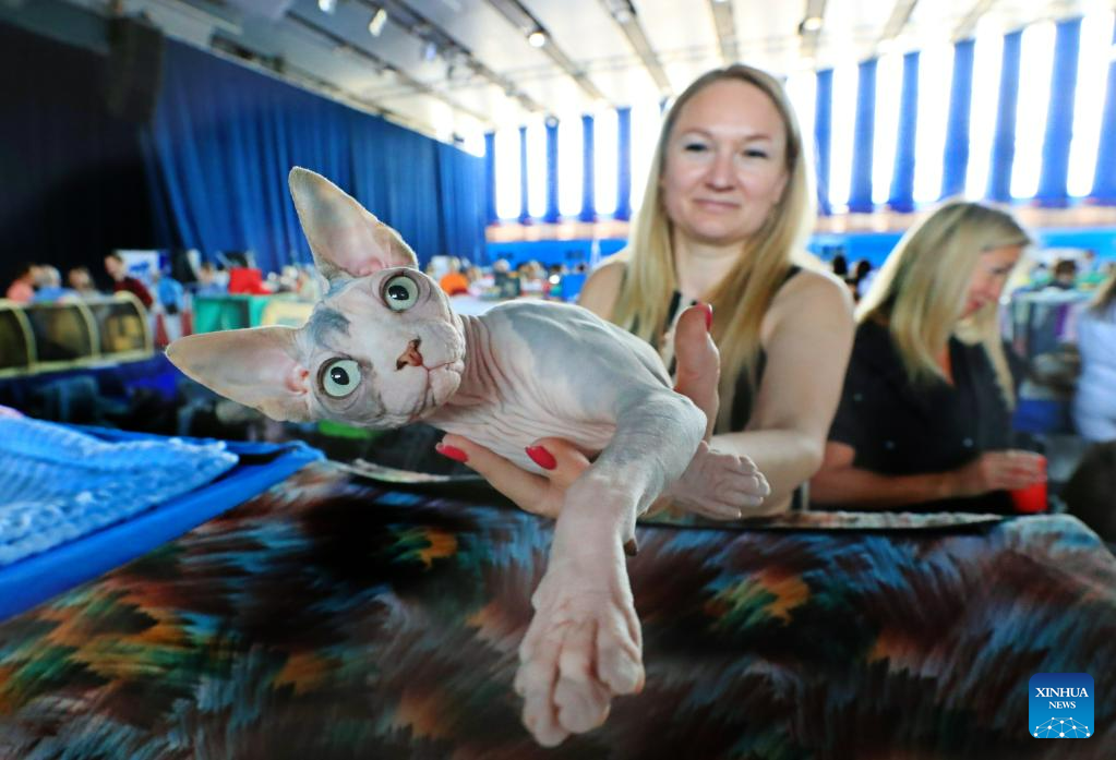 International cats show staged in Minsk, Belarus-Xinhua