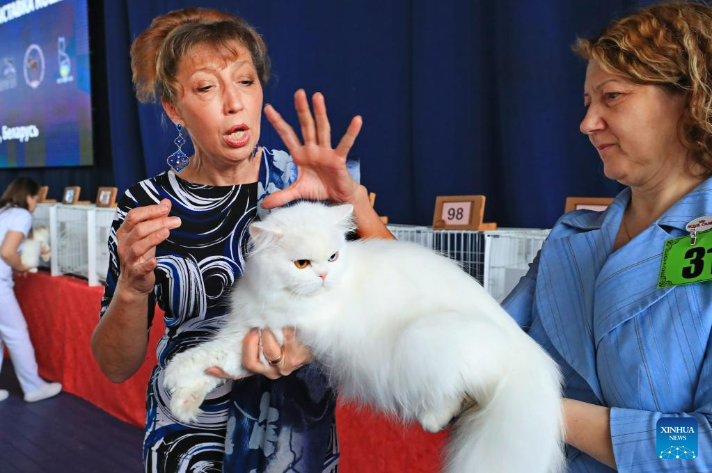 International cats show staged in Minsk, Belarus-Xinhua