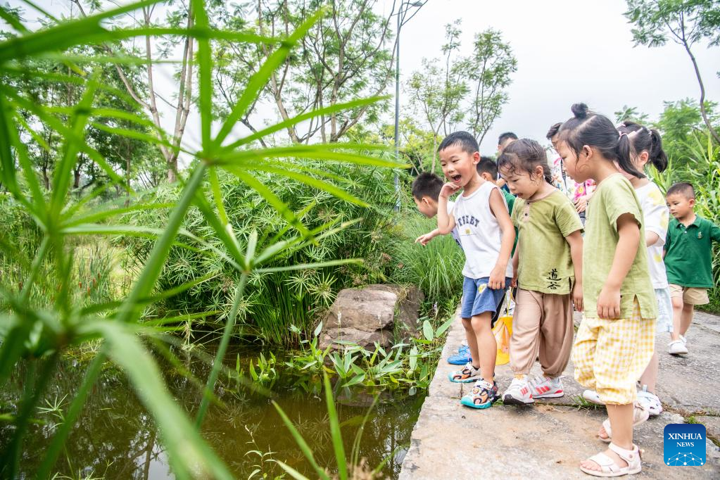 People visit Guangyang Isle for ecological education tour in SW China's ...