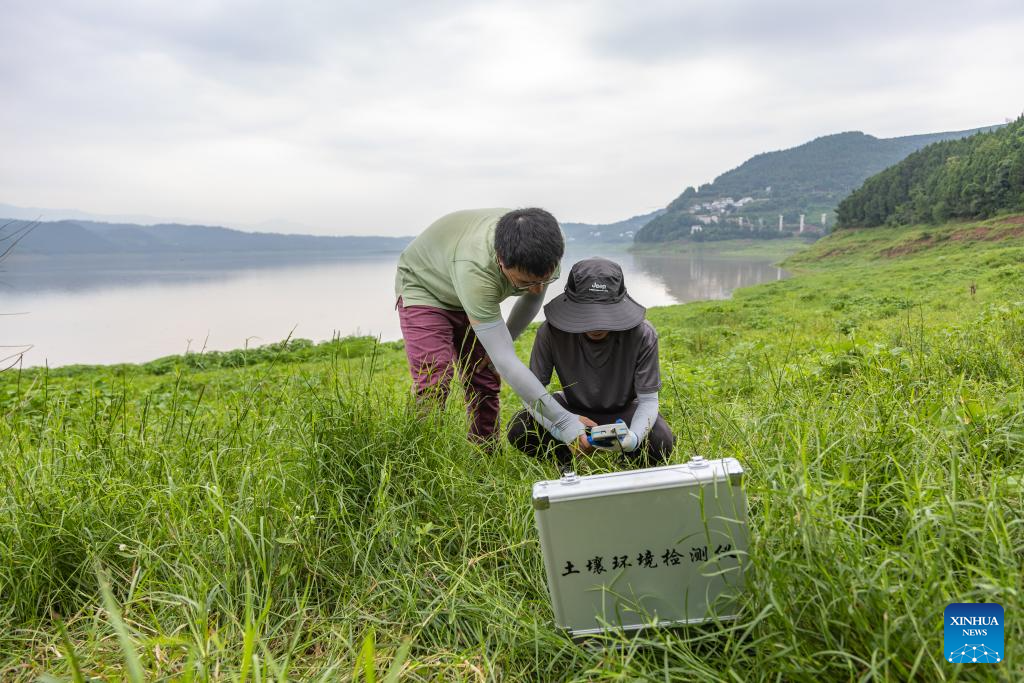 Three Gorges Reservoir witnesses improved ecological environment in SW ...