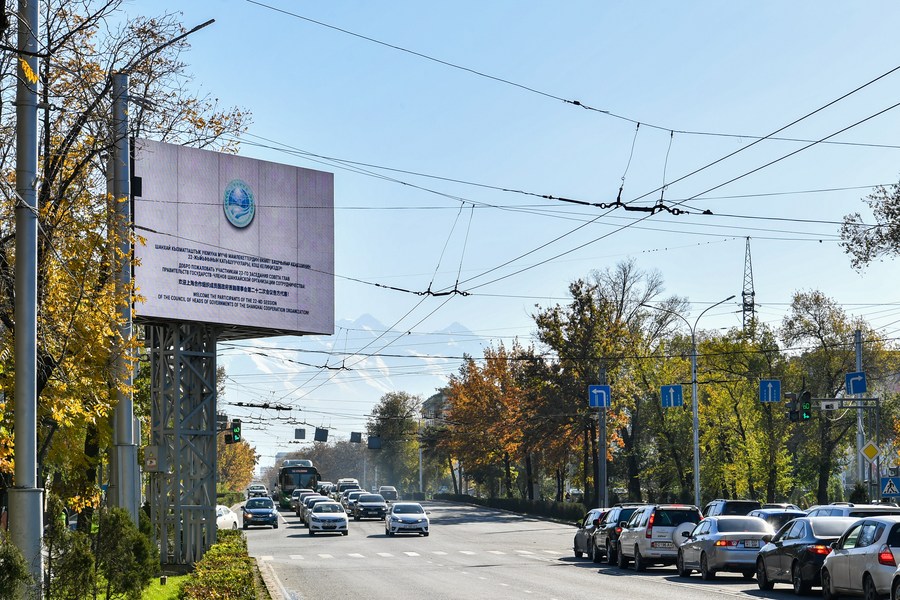 Interview: Expansion of SCO broadens its global agenda, says expert-Xinhua