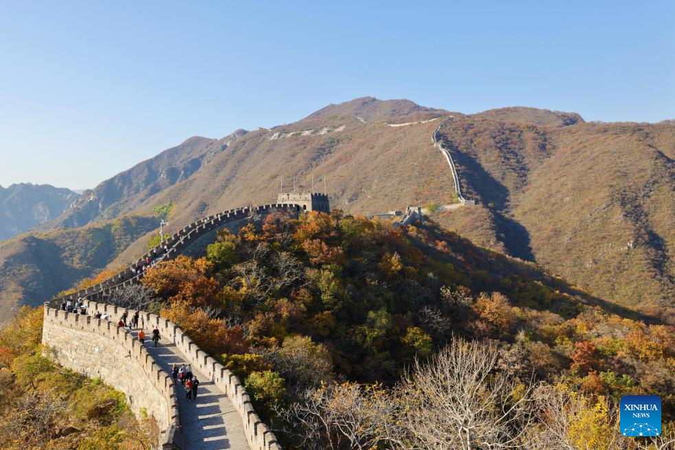 Autumn scenery of Great Wall in China-Xinhua