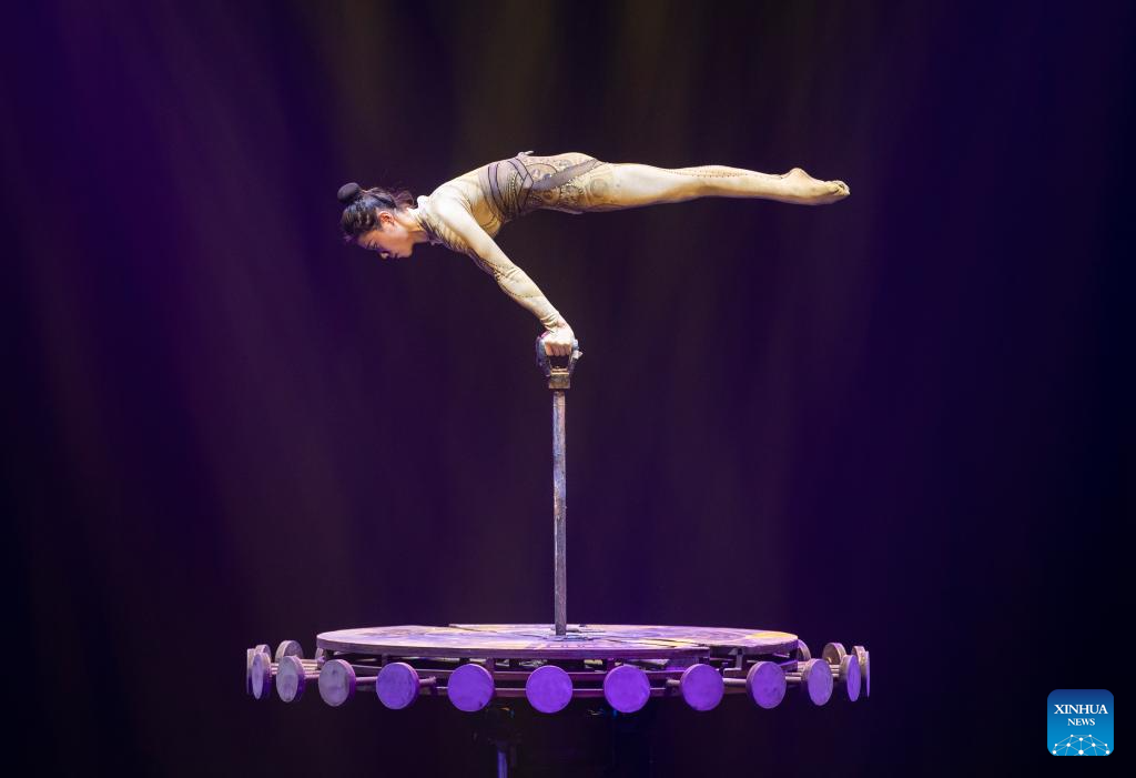 China's Jiangsu Acrobatic Troupe performs in Stuttgart of Germany-Xinhua