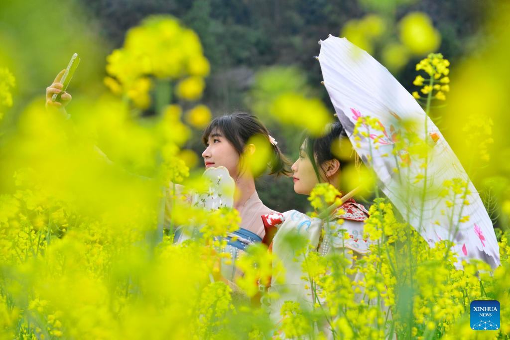 Tourists visit cole flower fields across China-Xinhua