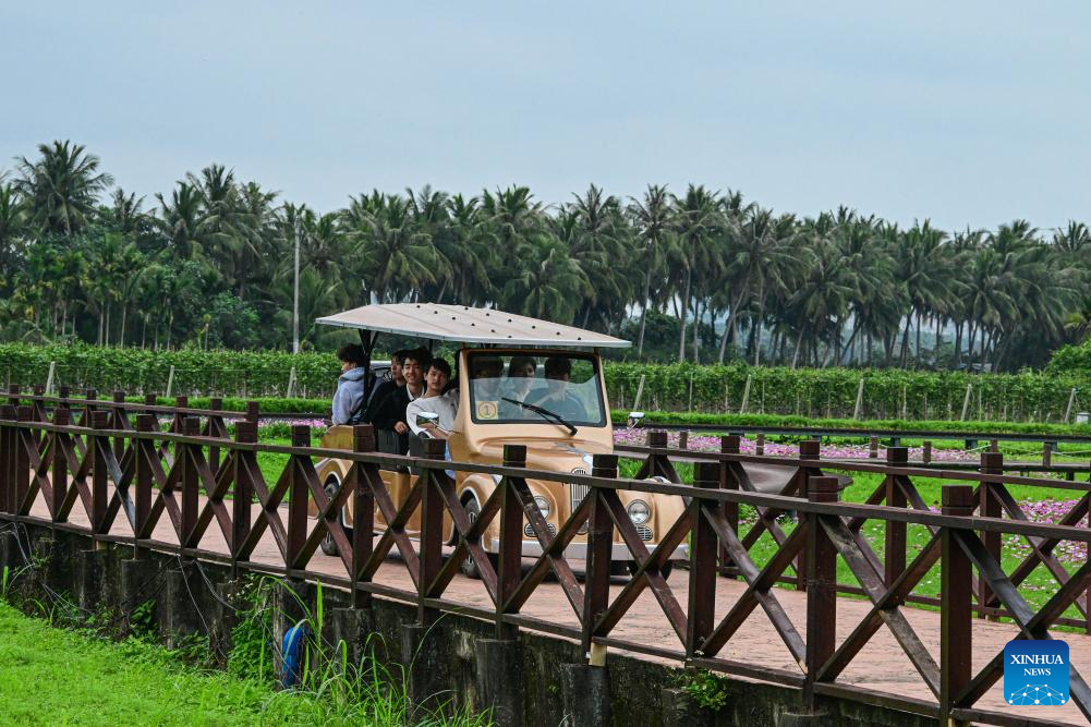 Qionghai's villages in Hainan showcase rural revitalization with global ...