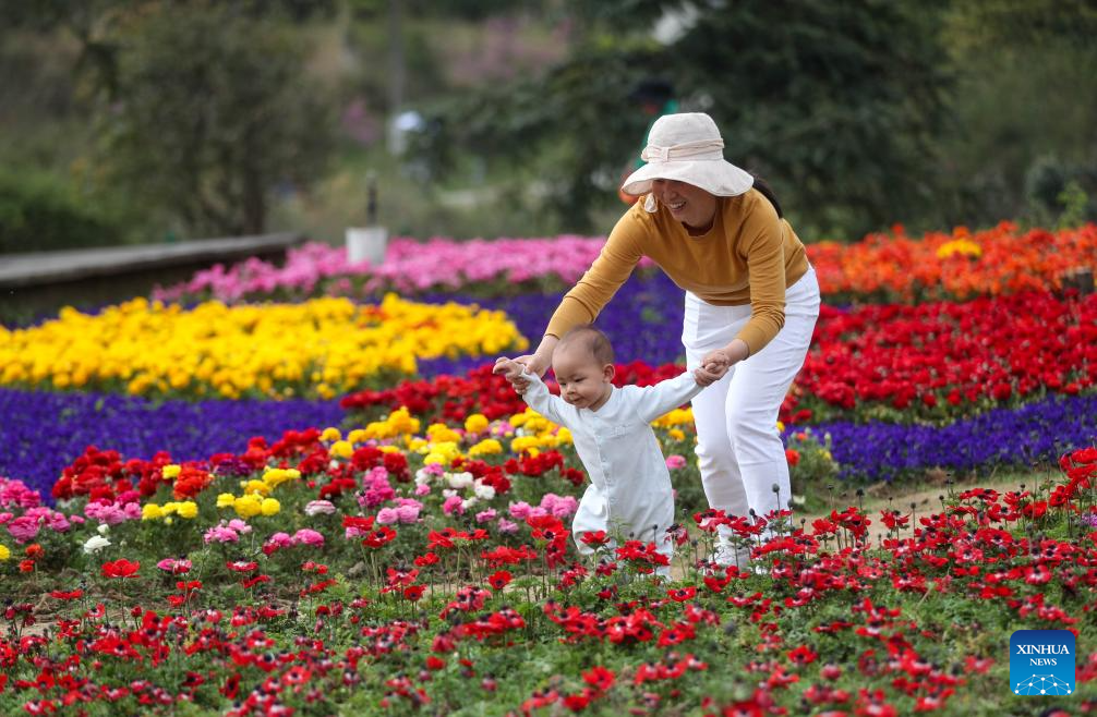 Flowers bloom across China in spring-Xinhua