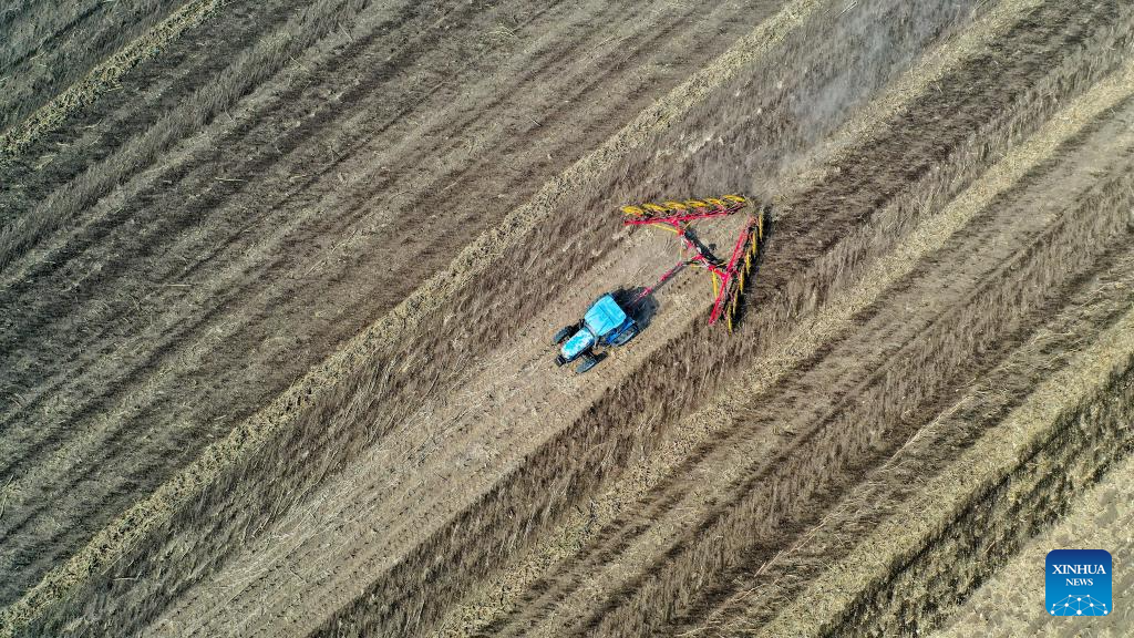 Farmers start annual spring plowing in NE China-Xinhua