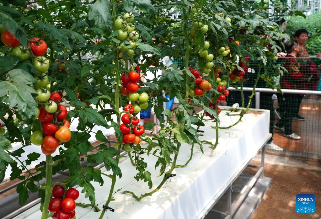 25th China (Shouguang) Int'l Vegetable Science and Technology Expo ...