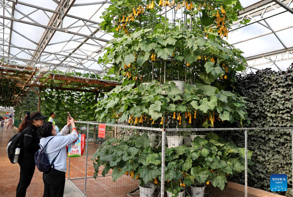 25th China (Shouguang) Int'l Vegetable Science and Technology Expo ...