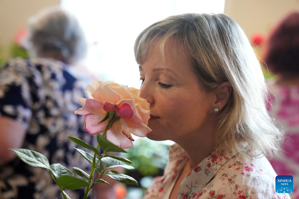 Over 100 varieties of roses on display at "Roses 2024" exhibition in ...