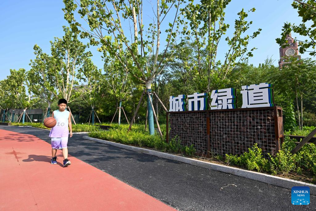 National Fitness Day marked in Tianjin, N China-Xinhua