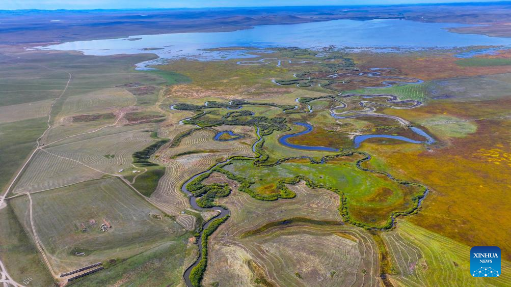Scenery of Ulgai Grassland in Xilingol, China's Inner Mongolia-Xinhua