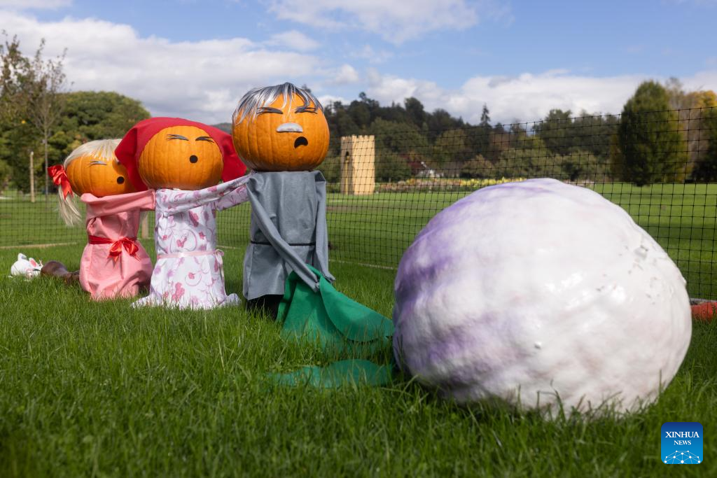 In pics: pumpkin installations on display at Volcji Potok Arboretum in ...