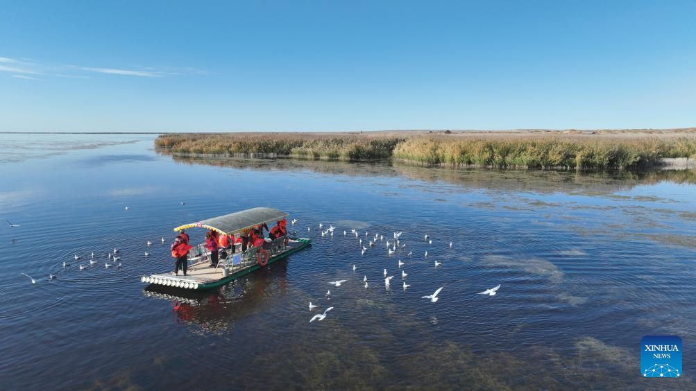 Autumn view of Ejina Banner of Alxa League, N China's Inner Mongolia-Xinhua