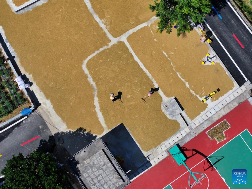 Villagers air rice in Debao County, S China's Guangxi-Xinhua