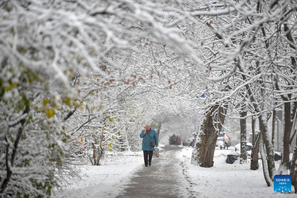 Snow scenery in Moscow, Russia-Xinhua