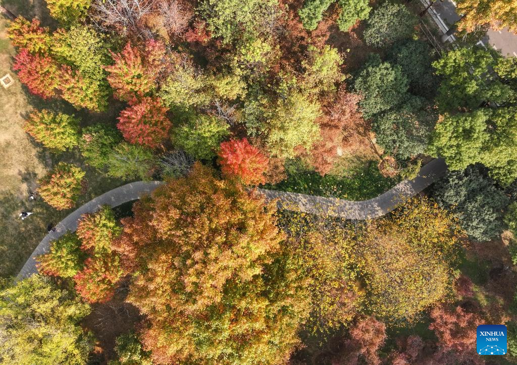 Scenery of early winter across China-Xinhua
