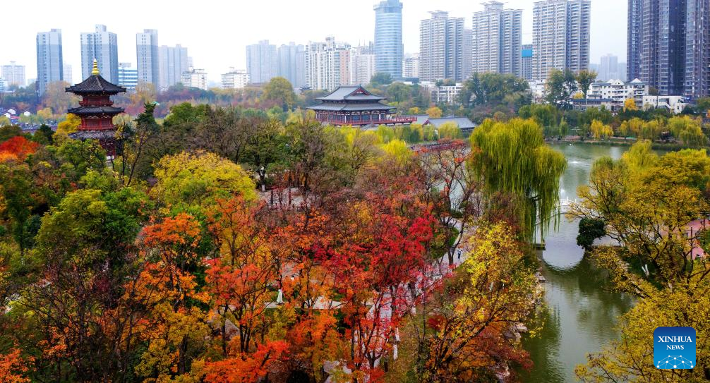 Autumn scenery in Xi'an, NW China's Shaanxi-Xinhua