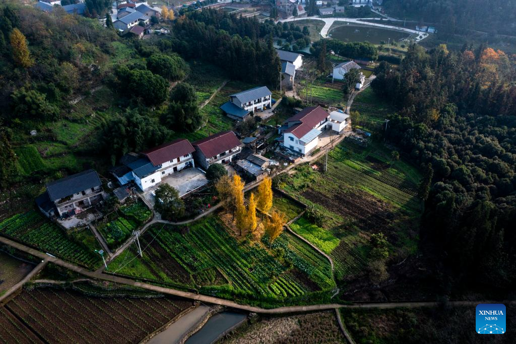 Chongqing's Tianfu Town transforms rural houses into thriving homestays ...