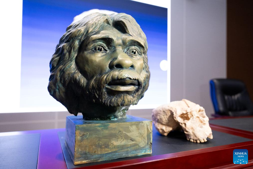 Restored fossil human skulls unveiled by Hubei Provincial Museum in ...
