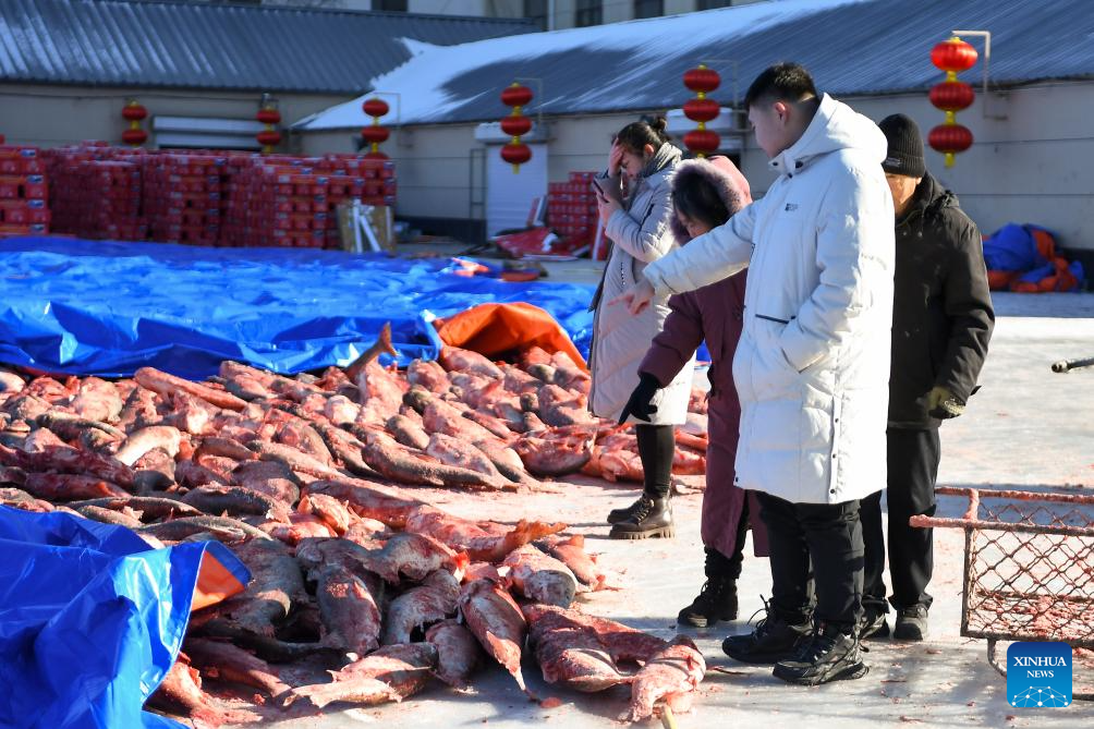 Winter fishing-themed cultural, tourism festival kicks off in China's ...