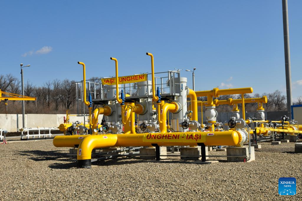 Feature: Worries mount in eastern, central Europe after Ukraine halts ...