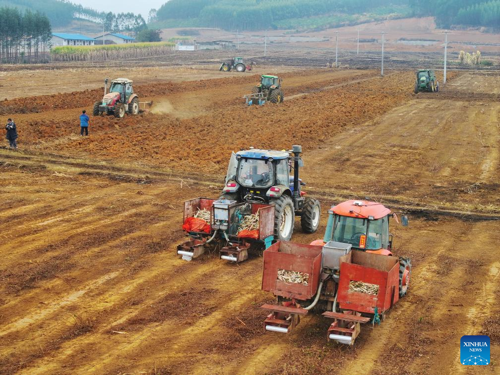 Farming activities in full swing across China in early spring-Xinhua
