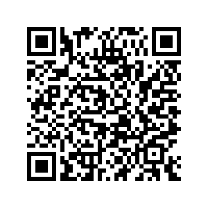 Economic Watch: Will digital gold open new chapter for a millennia-old ...