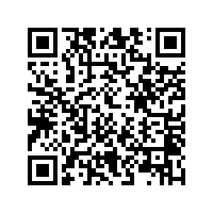 Chinese battery giant CATL unveils new EV batteries for Europe-Xinhua