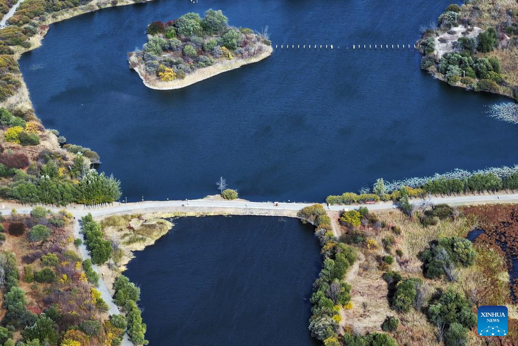 Autumn scenery of wetland parks in Harbin-Xinhua