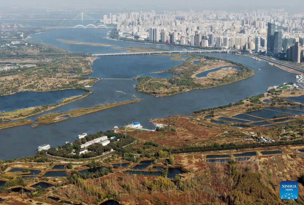 Autumn scenery of wetland parks in Harbin-Xinhua