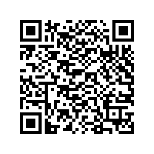 Feature: Centennial Palace Museum bridges Chinese across Taiwan Strait ...